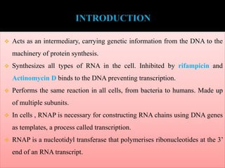 Simple Rna Polymerase Structure