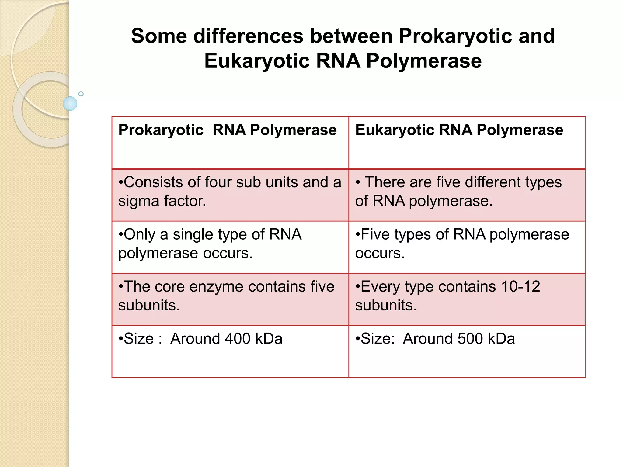 RNA Polymerase.pptx
