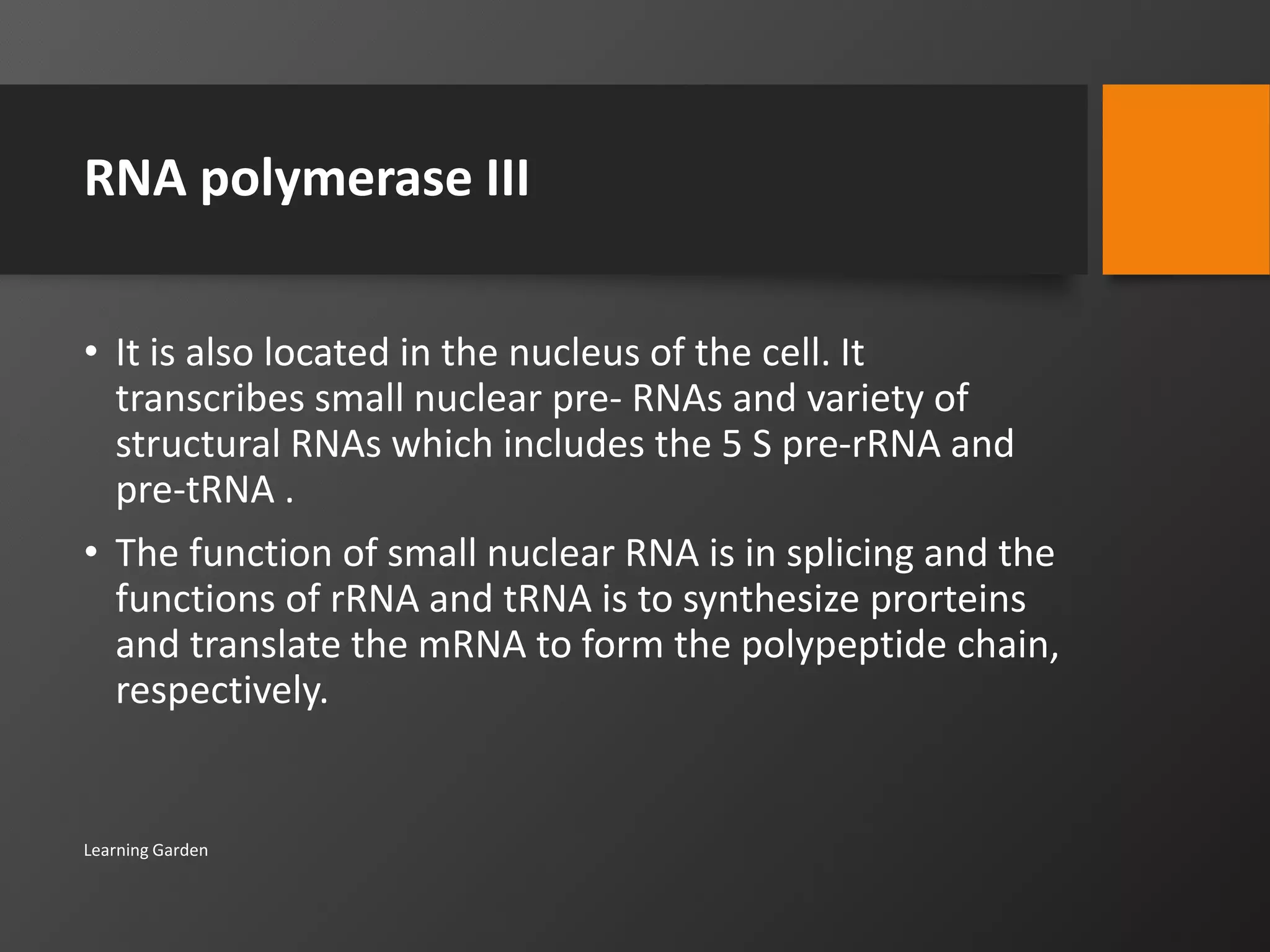 RNA Polymerase Slides | PPTX