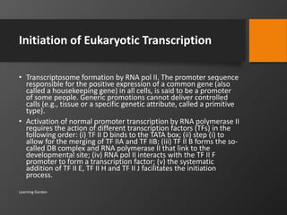 RNA Polymerase Slides | PPTX