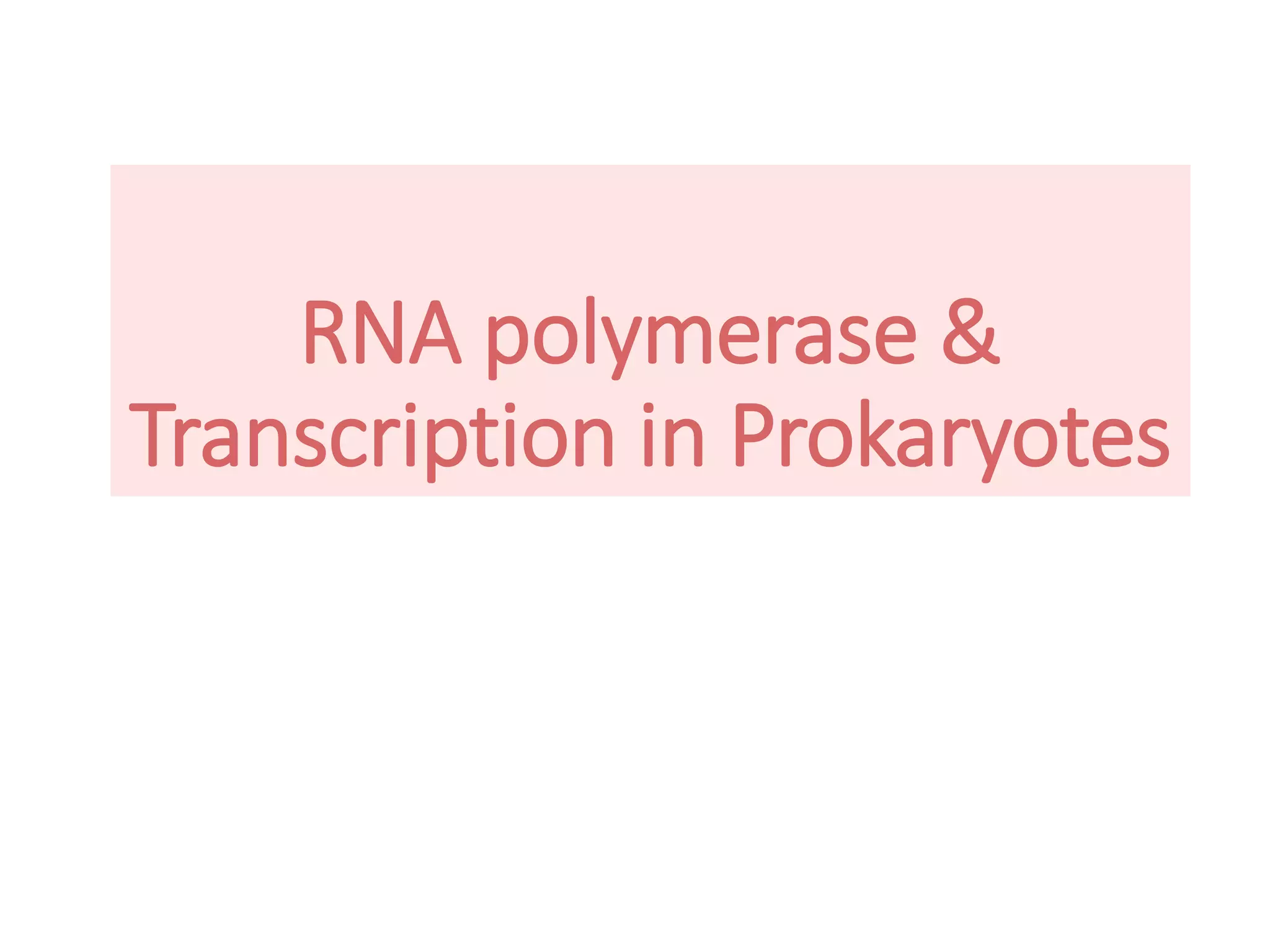 Rna polymerase & transcription in prokaryotes | PPTX