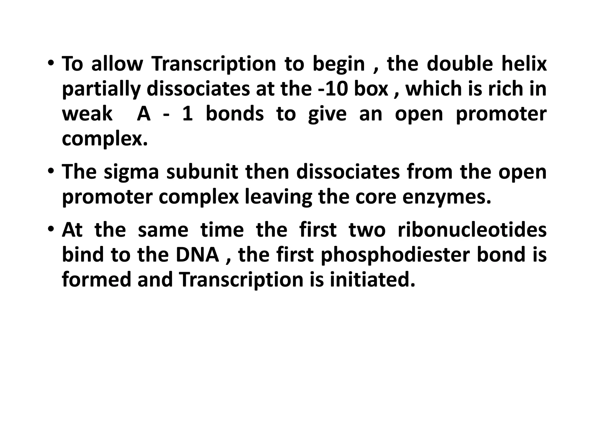Rna polymerase & transcription in prokaryotes | PPTX