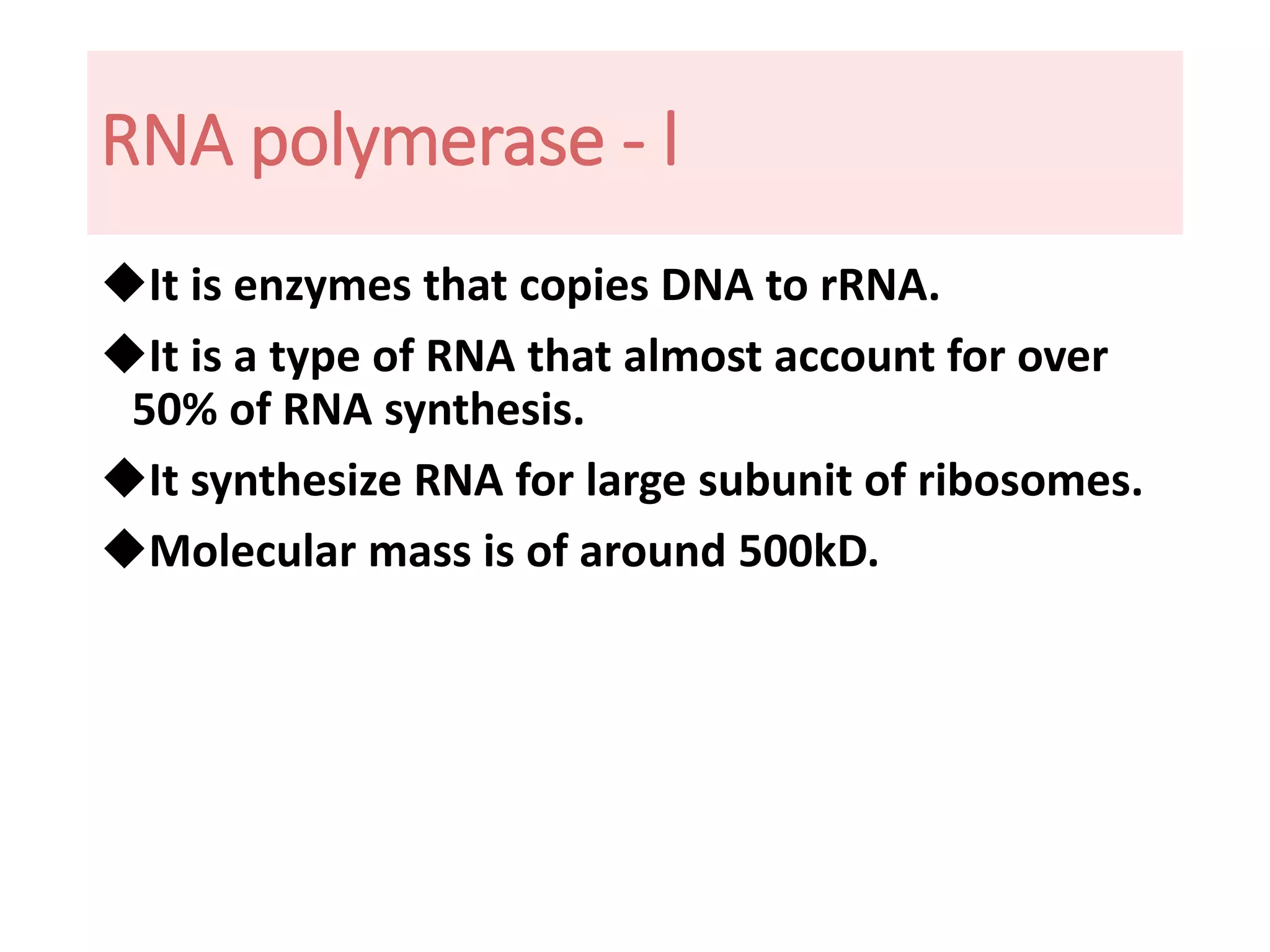 Rna polymerase & transcription in prokaryotes | PPTX
