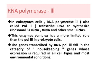 Rna Polymerase Structure And Function