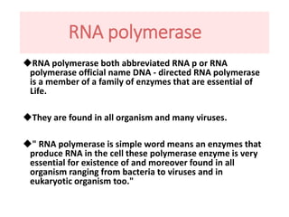Rna Polymerase Structure And Function