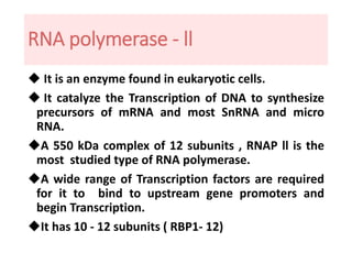 Rna Polymerase Structure And Function