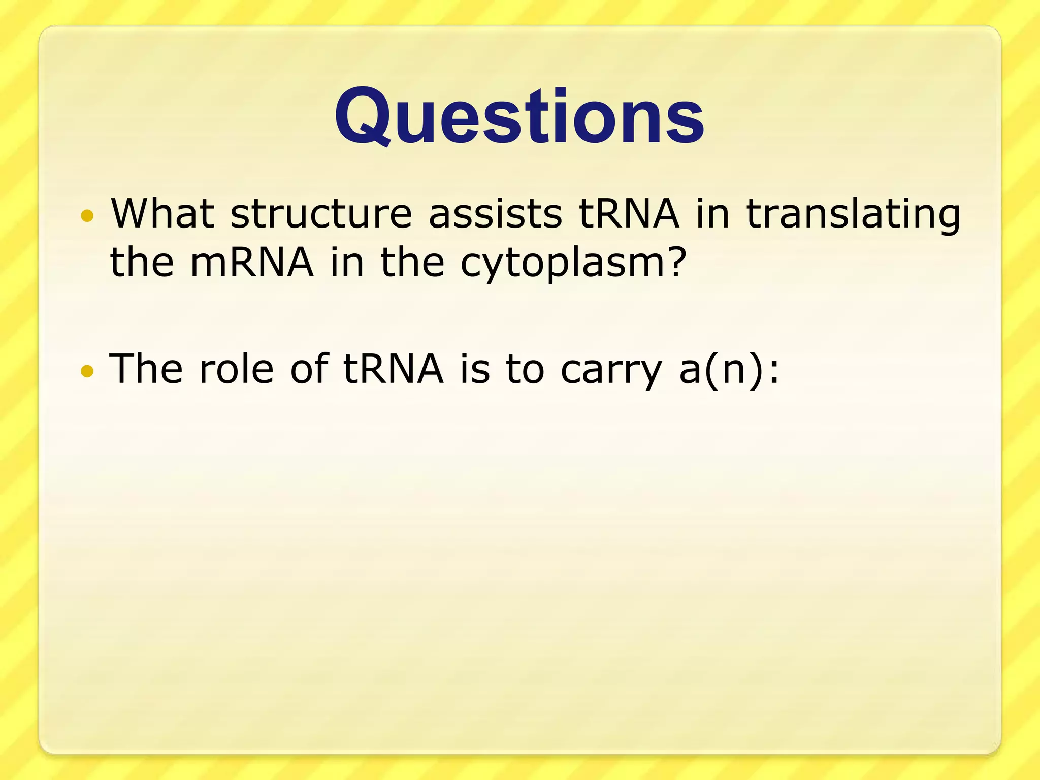 RNA PowerPoint.ppt