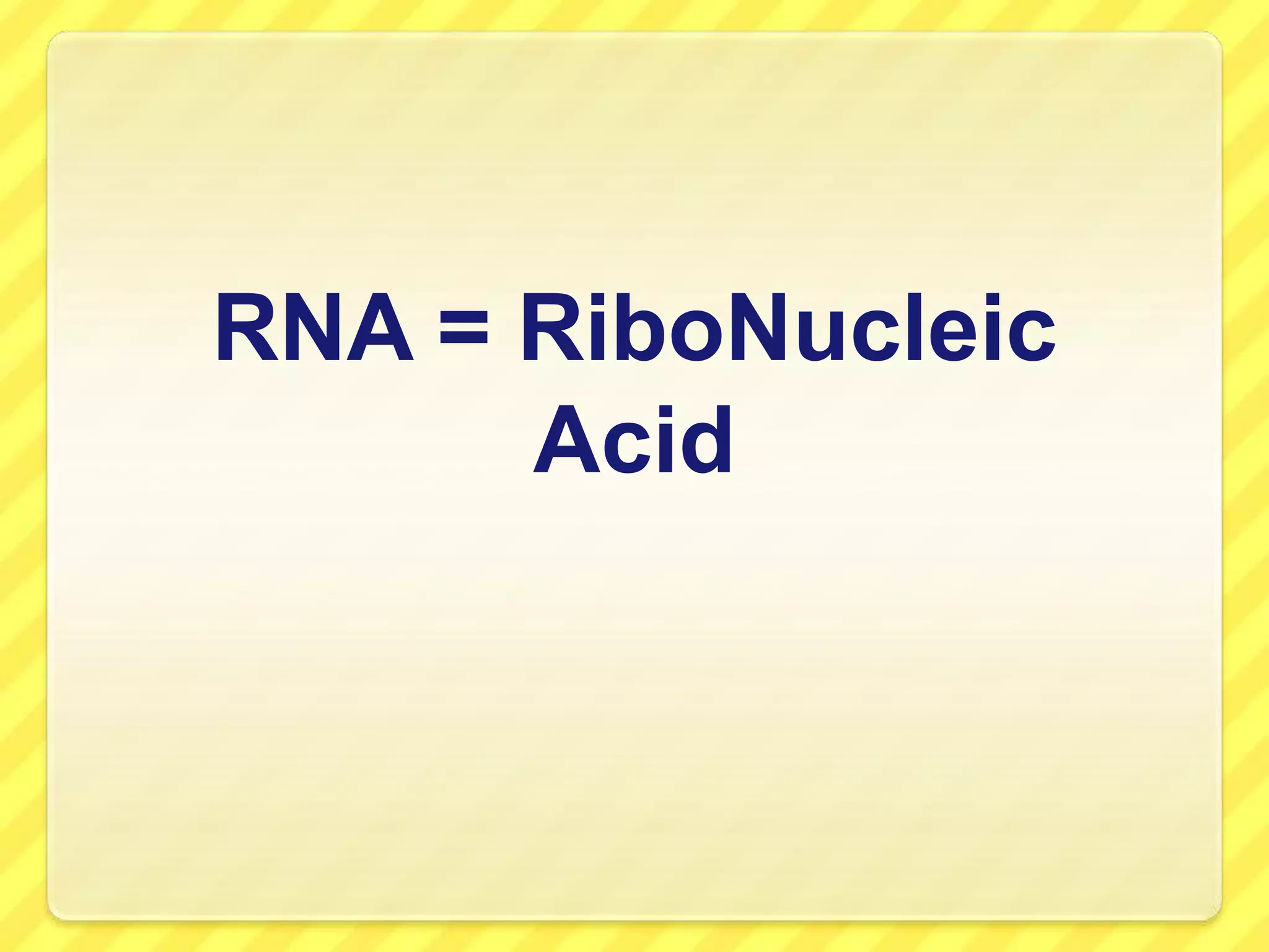 RNA PowerPoint.ppt