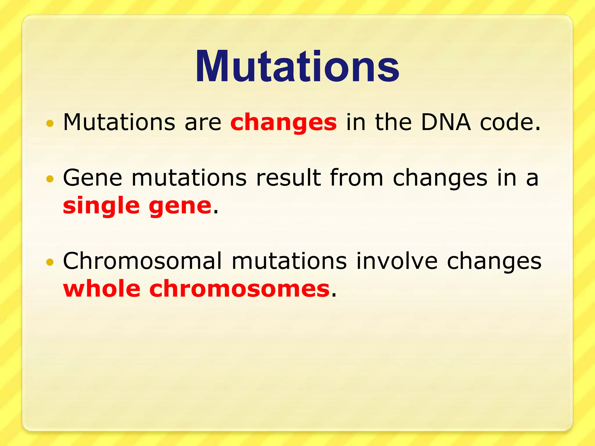 RNA PowerPoint.ppt