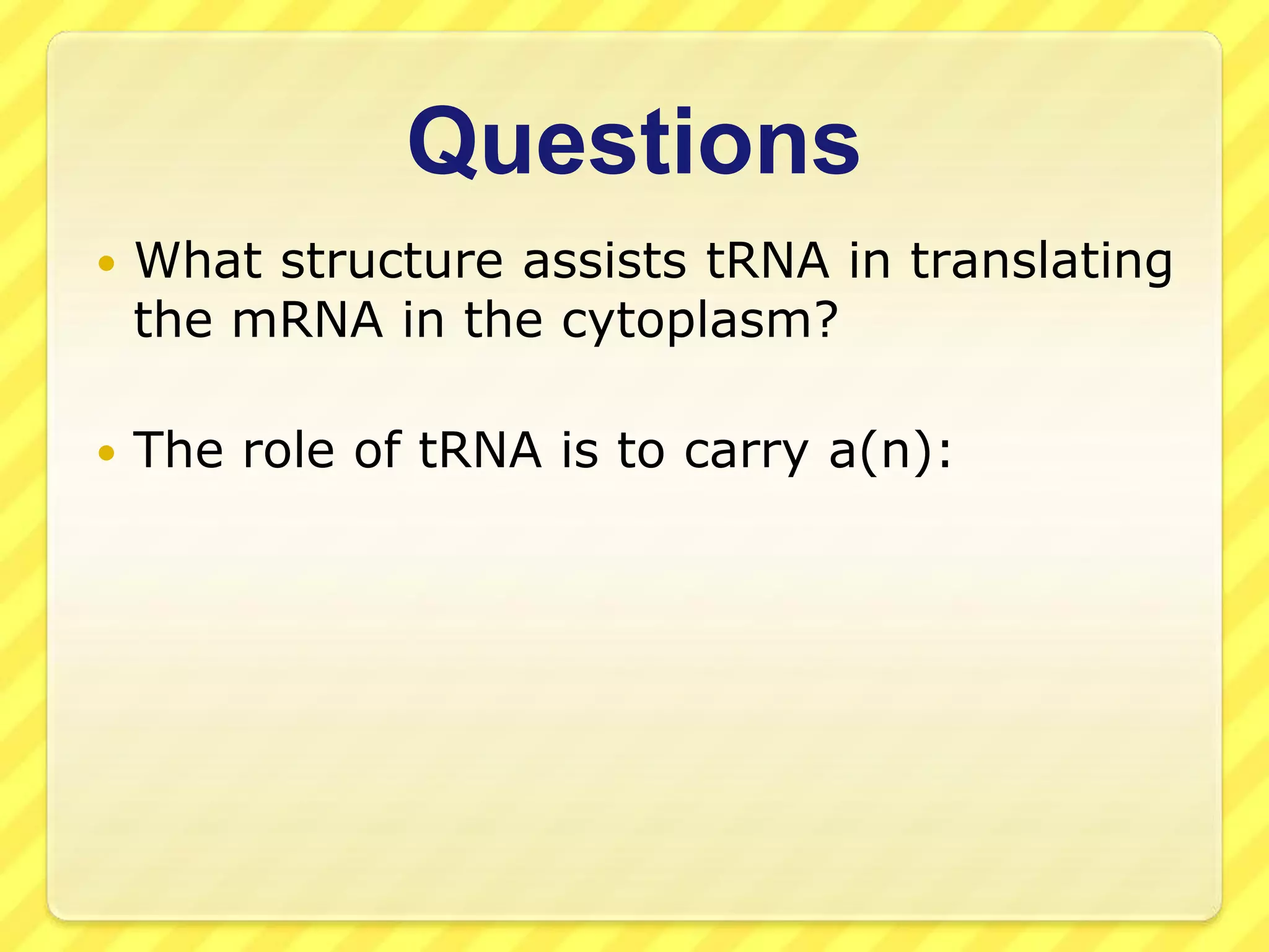 RNA PowerPoint.ppt
