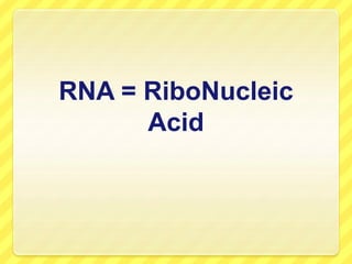 RNA PowerPoint.ppt