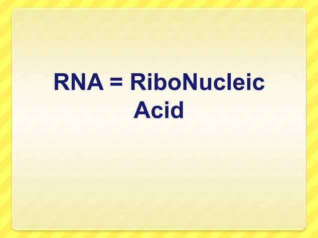 RNA PowerPoint.ppt