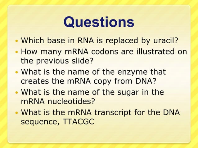 RNA PowerPoint.ppt