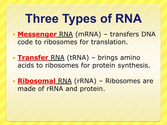 RNA PowerPoint.ppt