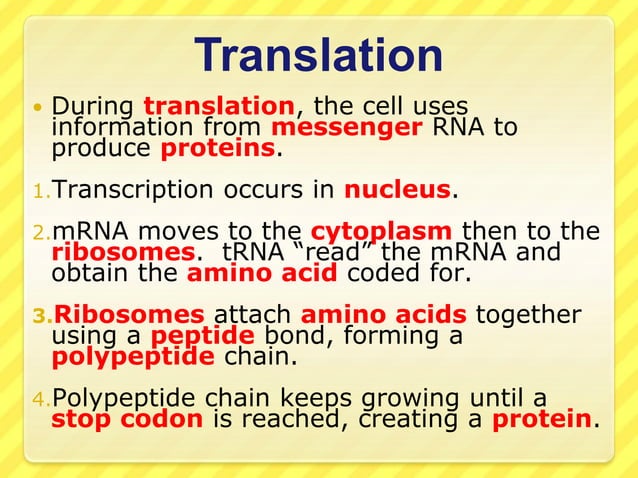 RNA PowerPoint.ppt
