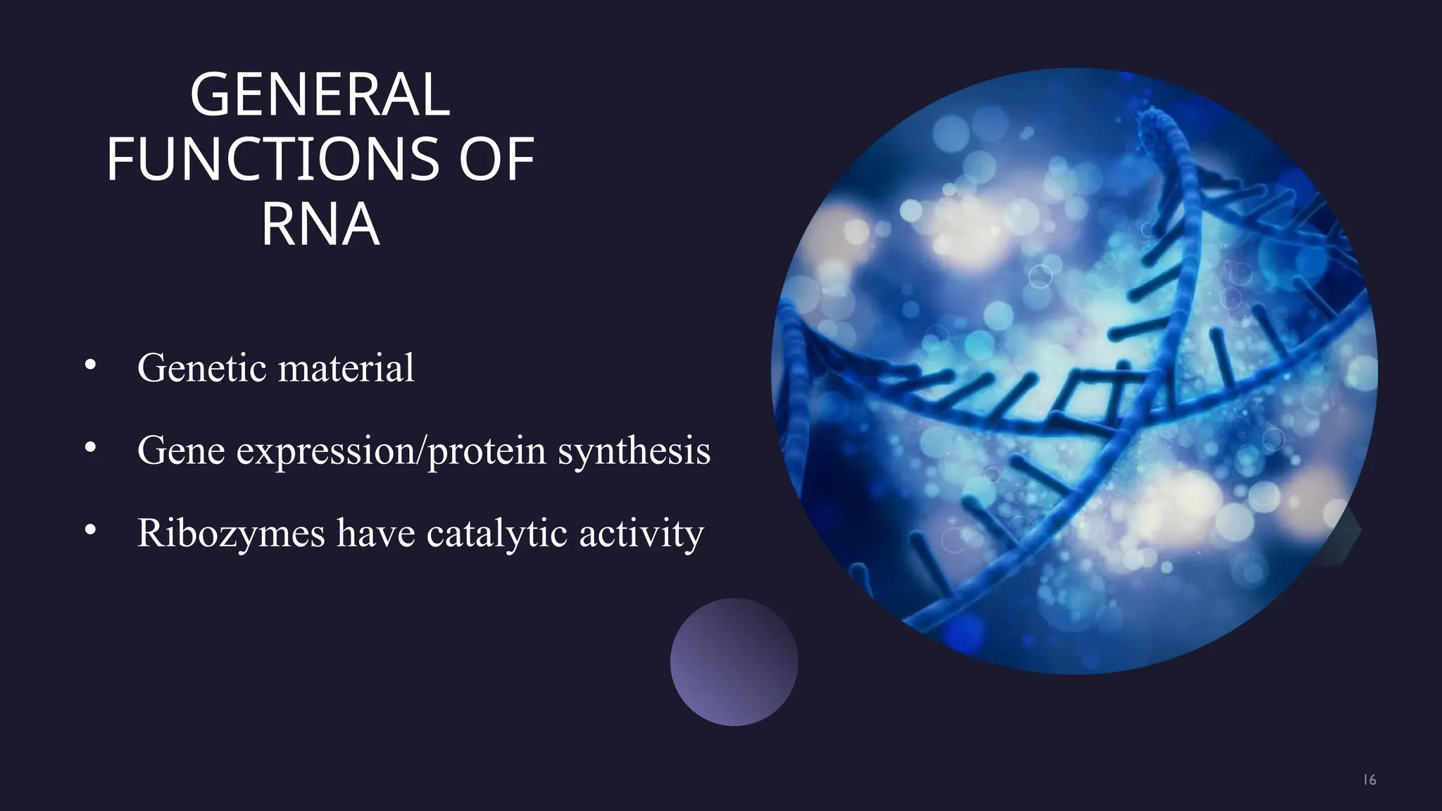 Dive into the fascinating world of RNA, the molecular architect of life ...