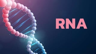 RNA PRESENTATION.pptx