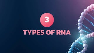 RNA PRESENTATION.pptx