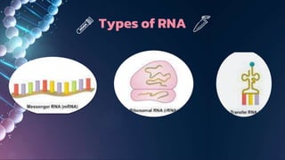 RNA PRESENTATION.pptx