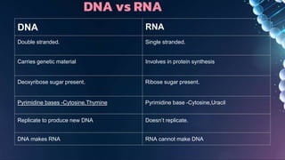 RNA PRESENTATION.pptx