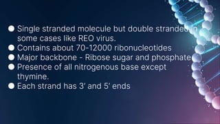 RNA PRESENTATION.pptx