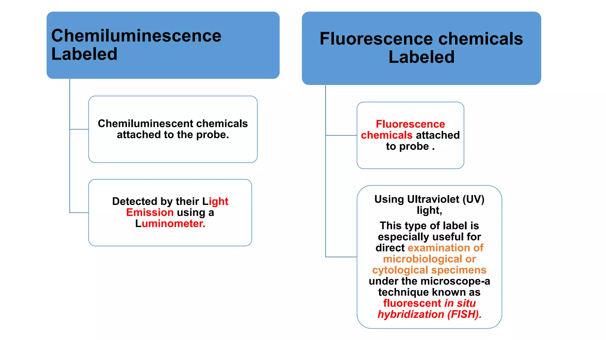 Molecular RNA Probe | PPTX