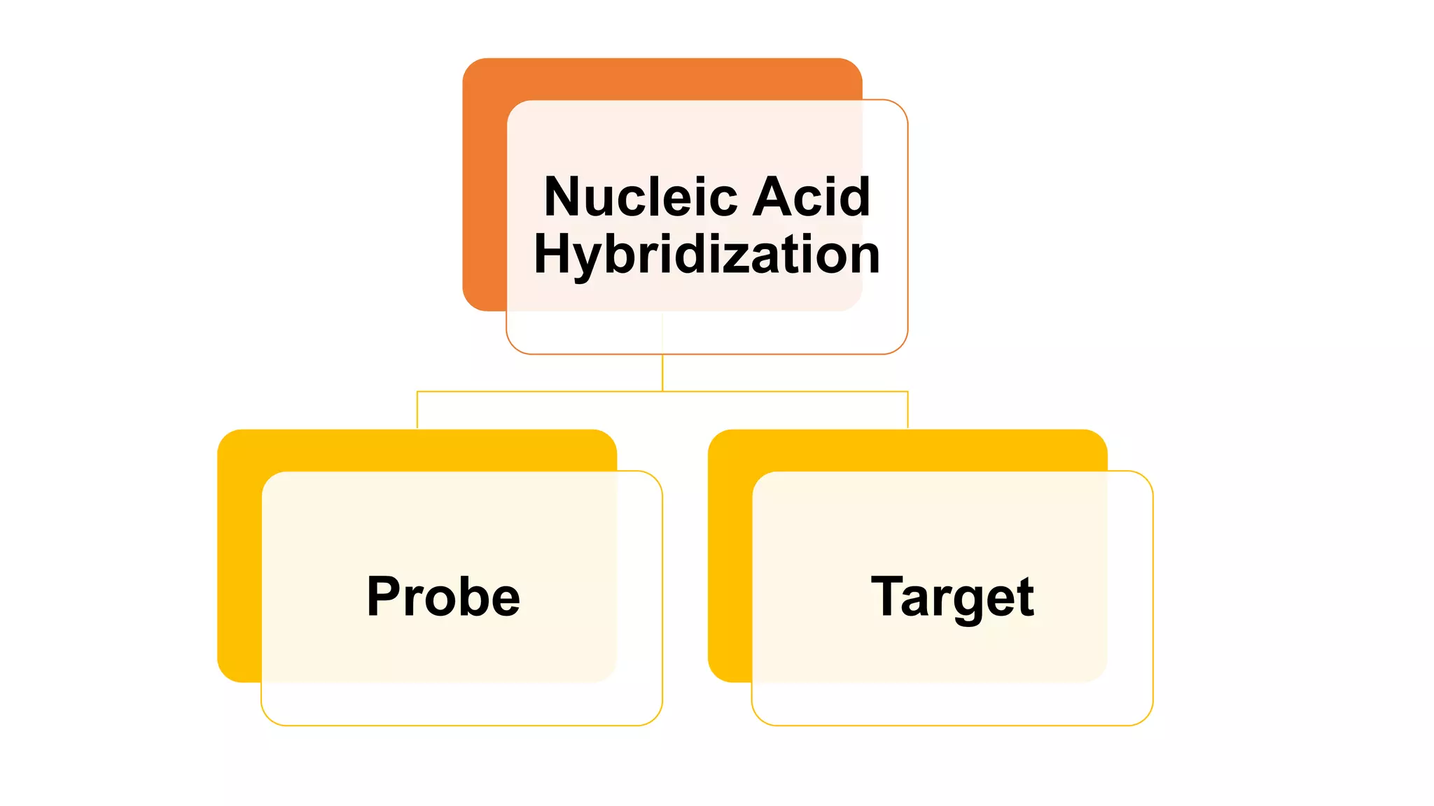 Molecular RNA Probe | PPTX