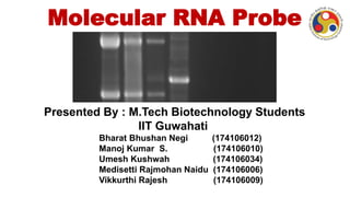 Molecular RNA Probe | PPTX