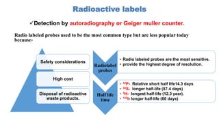 Molecular RNA Probe | PPTX