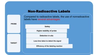 Molecular RNA Probe | PPTX