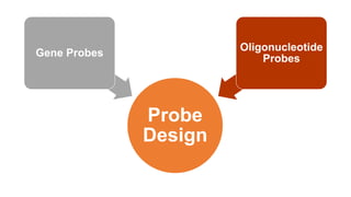 Molecular RNA Probe | PPTX