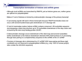 Rna processing | PPT | Genetics | Science