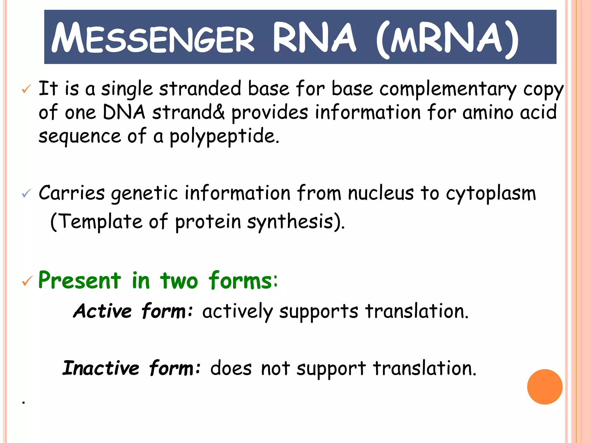 Rna processing | PPTX