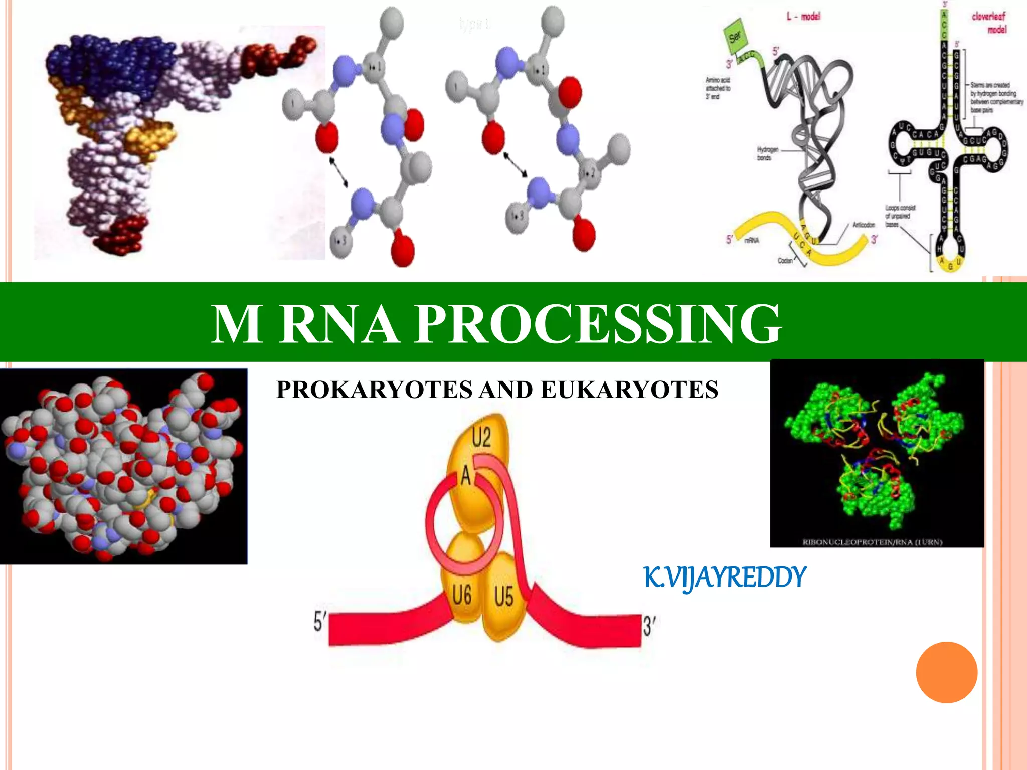Rna processing | PPTX