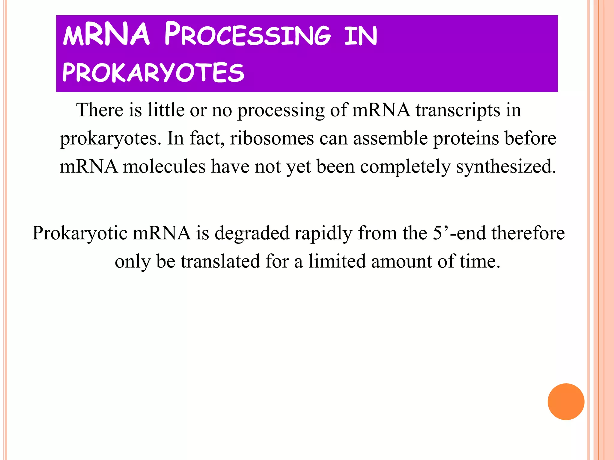 Rna processing | PPTX