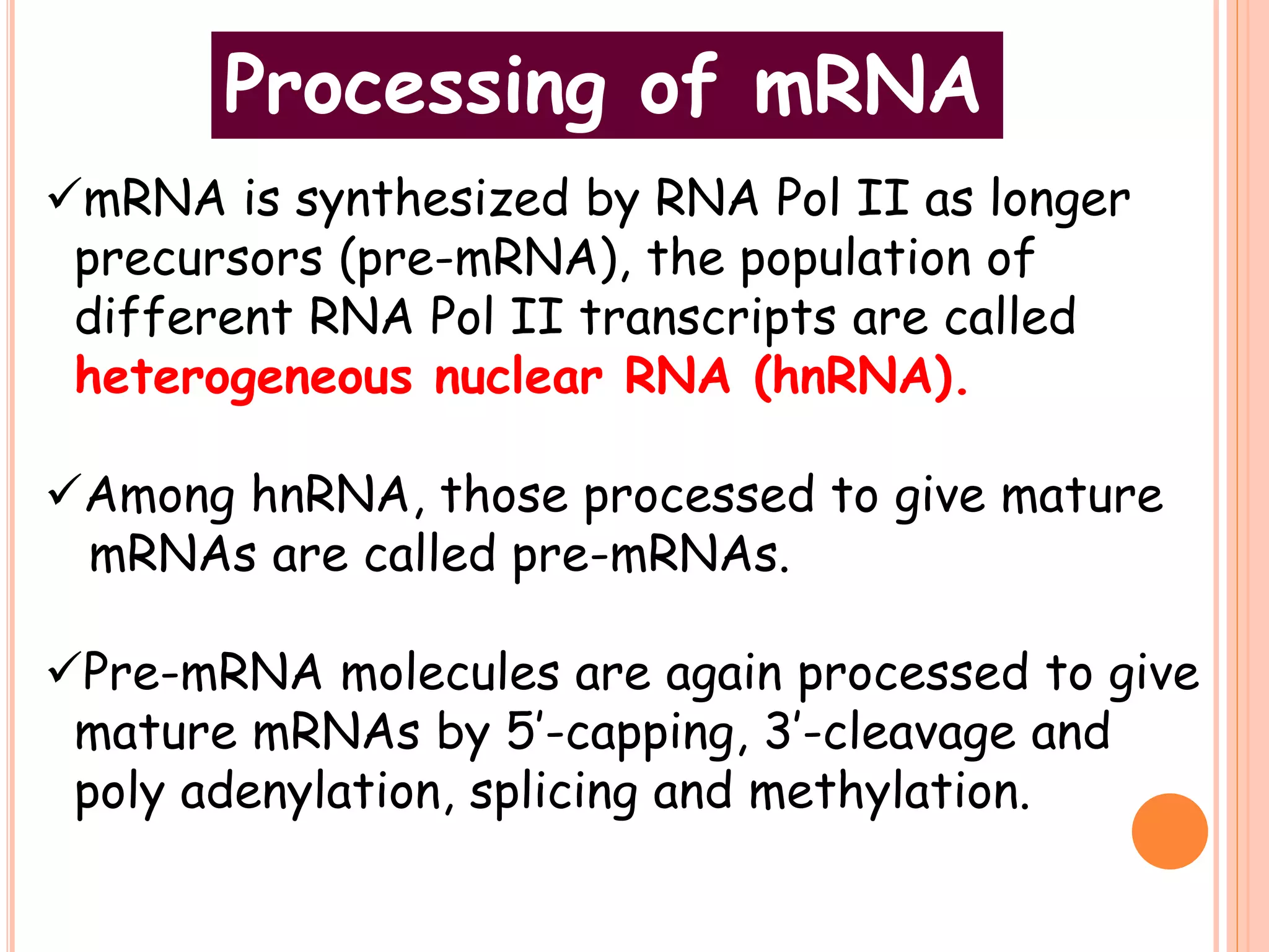 Rna processing | PPTX