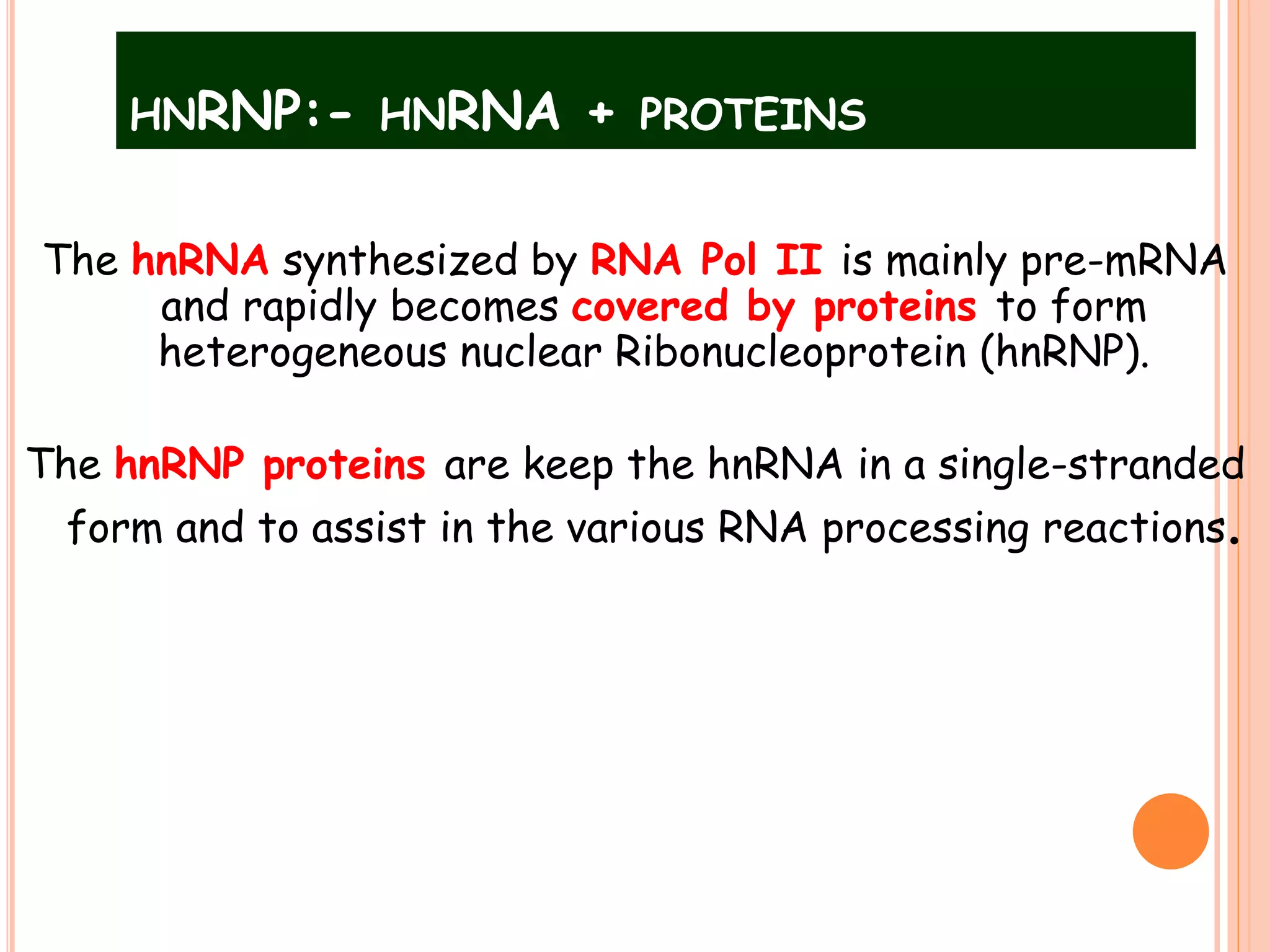 Rna processing | PPTX