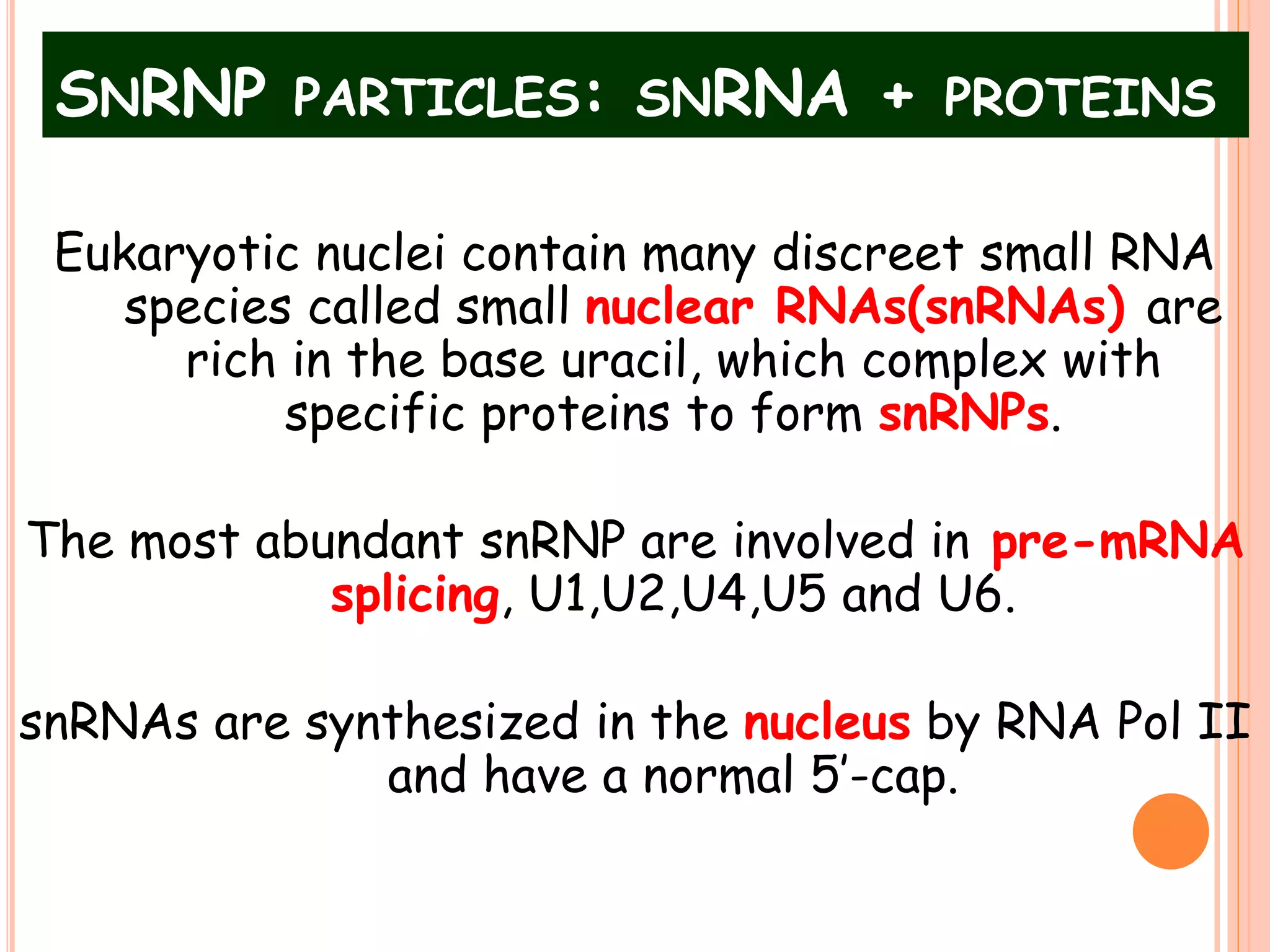 Rna processing | PPTX