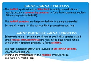 RNA Processing | PPTX | Chemistry | Science