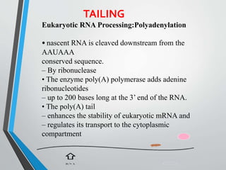 RNA PROCESSING | PPTX