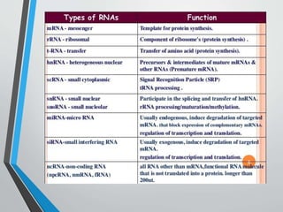 RNA PROCESSING | PPTX