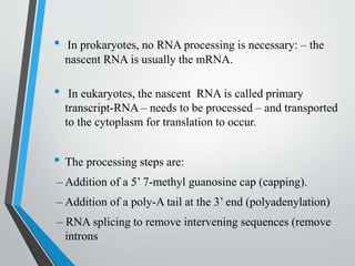 RNA PROCESSING | PPTX