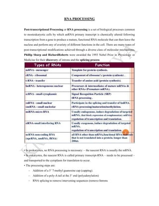RNA PROCESSING | PDF