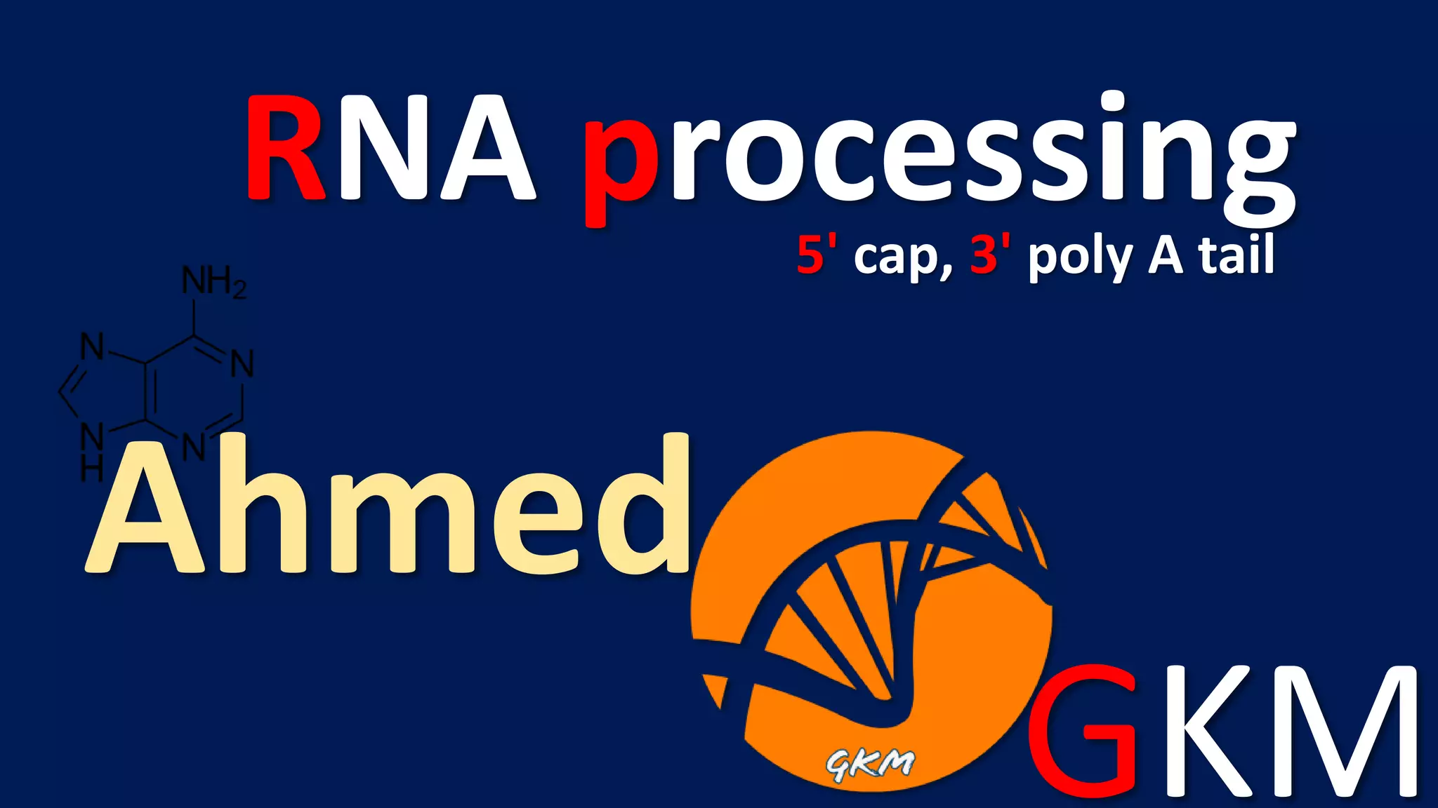 Rna processing | PPT