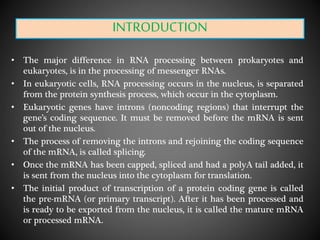 Rna processing | PPTX