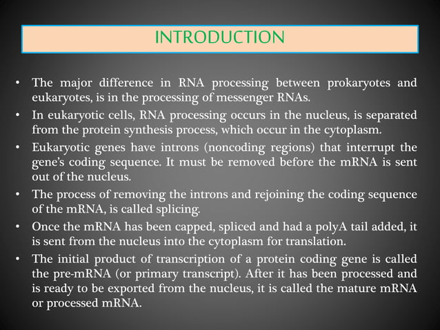 Rna processing | PPTX
