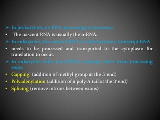 Rna processing | PPTX