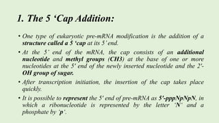 RNA Processing | PPTX