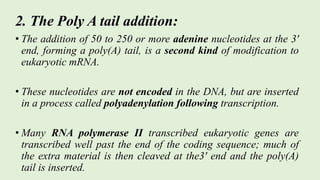 RNA Processing | PPTX