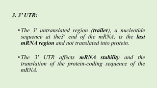 RNA Processing | PPTX